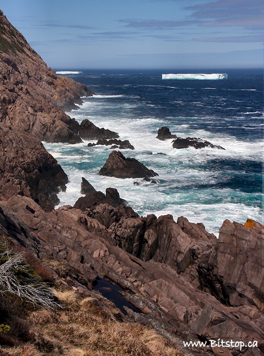 Bitstop: Logy Bay Icebergs