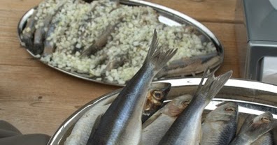 Writing Berries Dagje Uit Blogger: Traditioneel Haring Happen in Dierenrijk