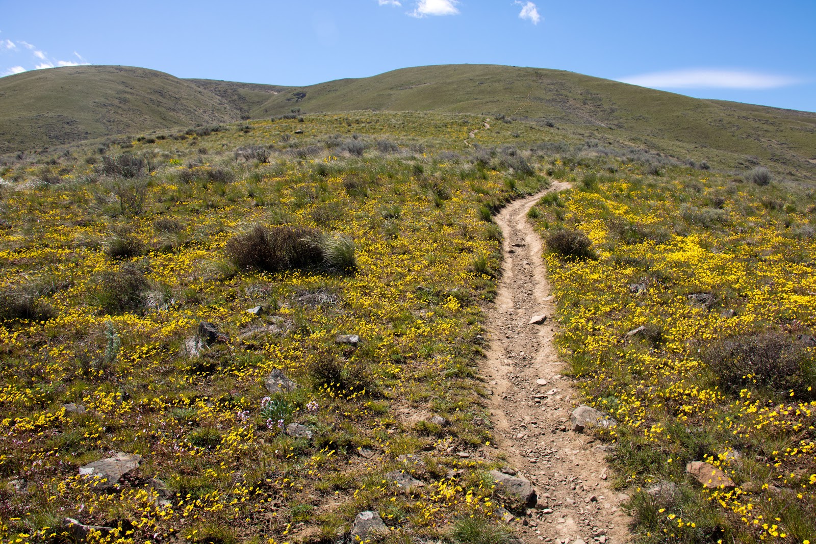 Hiking Shenandoah: Umtanum Ridge Crest