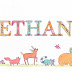 Pamela Goodman Illustration Blog: Kids Name Signs