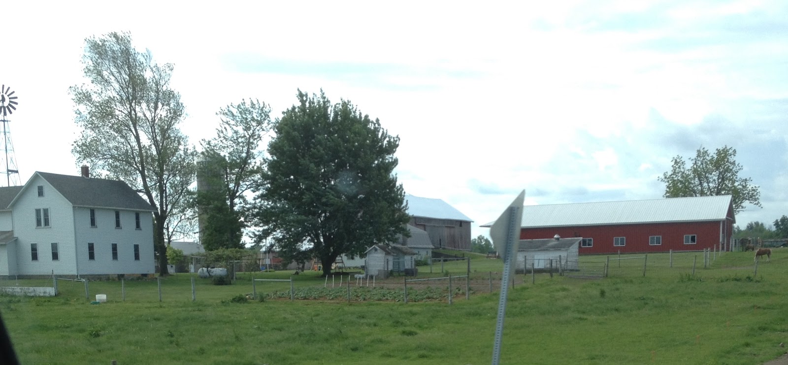 Amish Horses: Amish Farm Tour