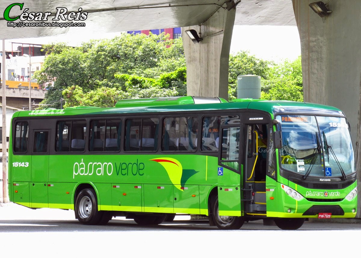 César Ônibus agora é Onebusbr.com: Pássaro Verde - Novos Ônibus