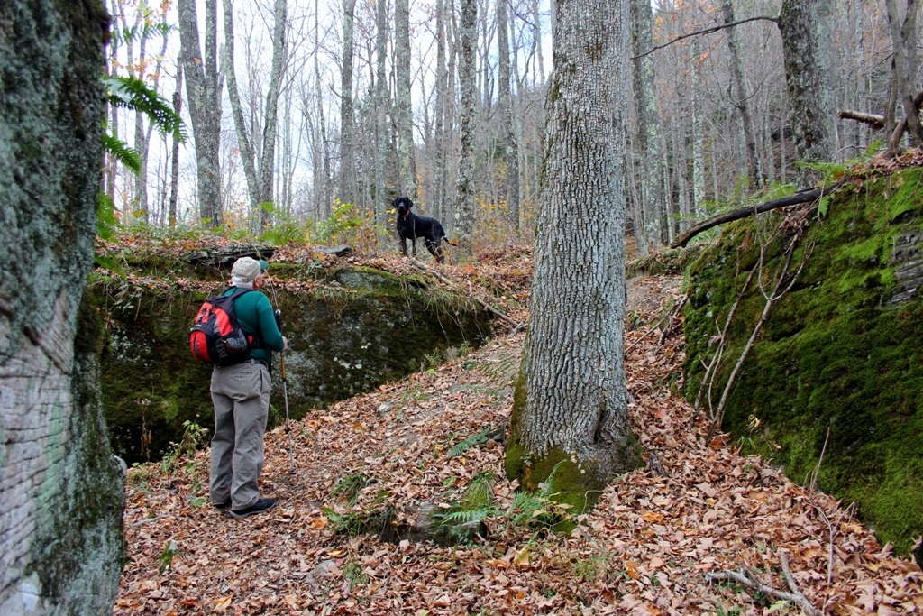 Hiking: Shavertown Trail - Pepacton Reservoir | Town of Andes, Catskill ...