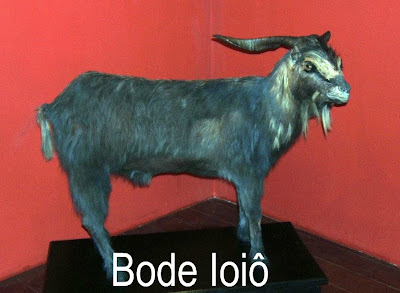 VENTO NORDESTE: A CULTURA DO BODE NO NORDESTE BRASILEIRO - I - SUA ...