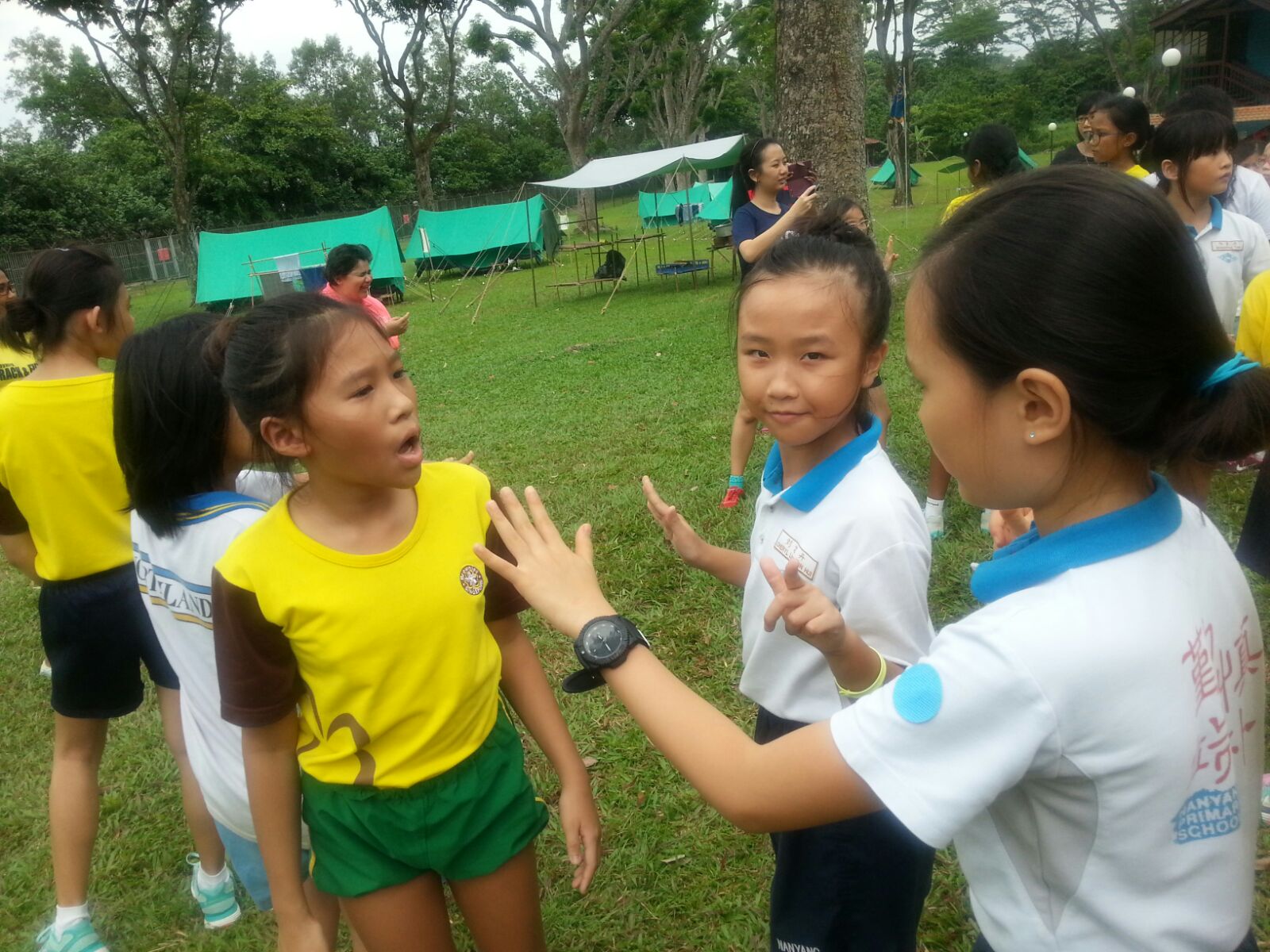 SCGS Brownies: Pack Holiday at Camp Christine