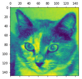 Deep Learning with Python