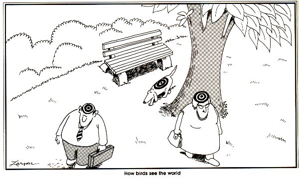 Fear & Loathing with a Rebel: Sunday Funnies: It's Your Fault Mr. Larson!