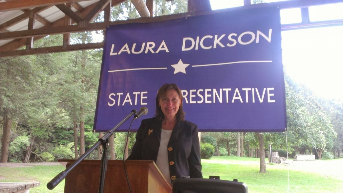 Gort42: Laura Dickson for State Representative