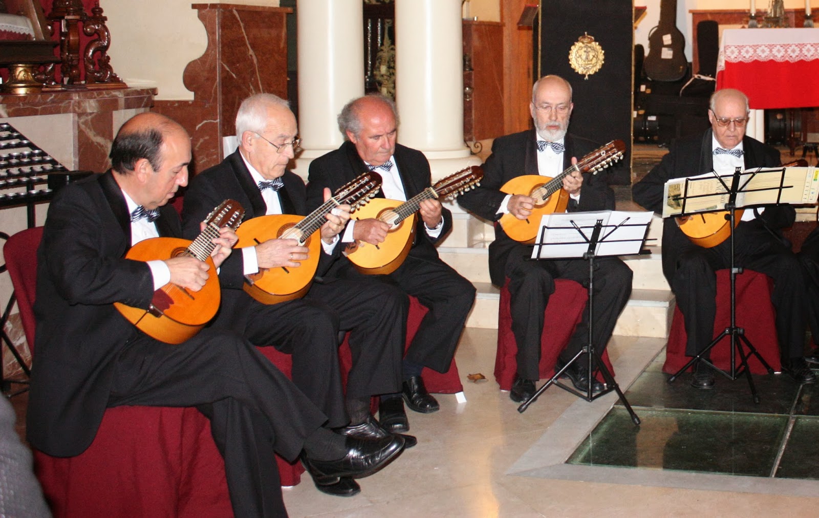 Orquesta de Plectro Rodriguez Albert Huelva: Los músicos