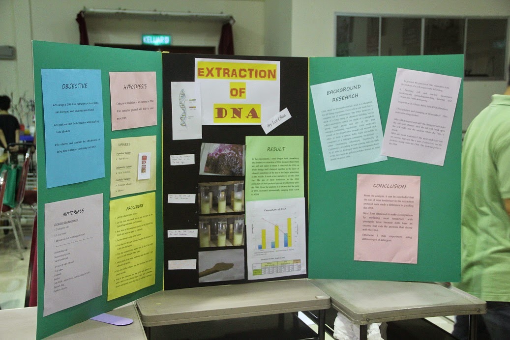 Growing with Guidance: Science Fair 2014