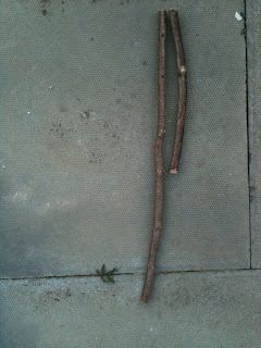 Scale and Geometric Patterns with Sticks | Creative STAR Learning | I'm ...