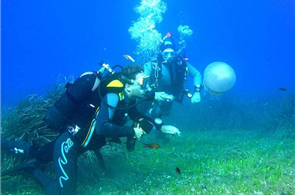 Scuba in a World of It's Own