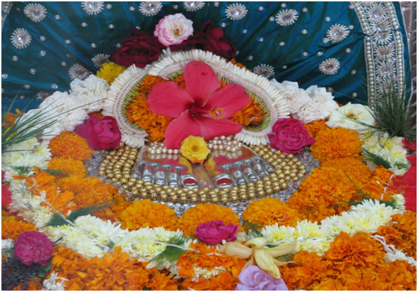 E MAIL ssntstrust@yahoo.com