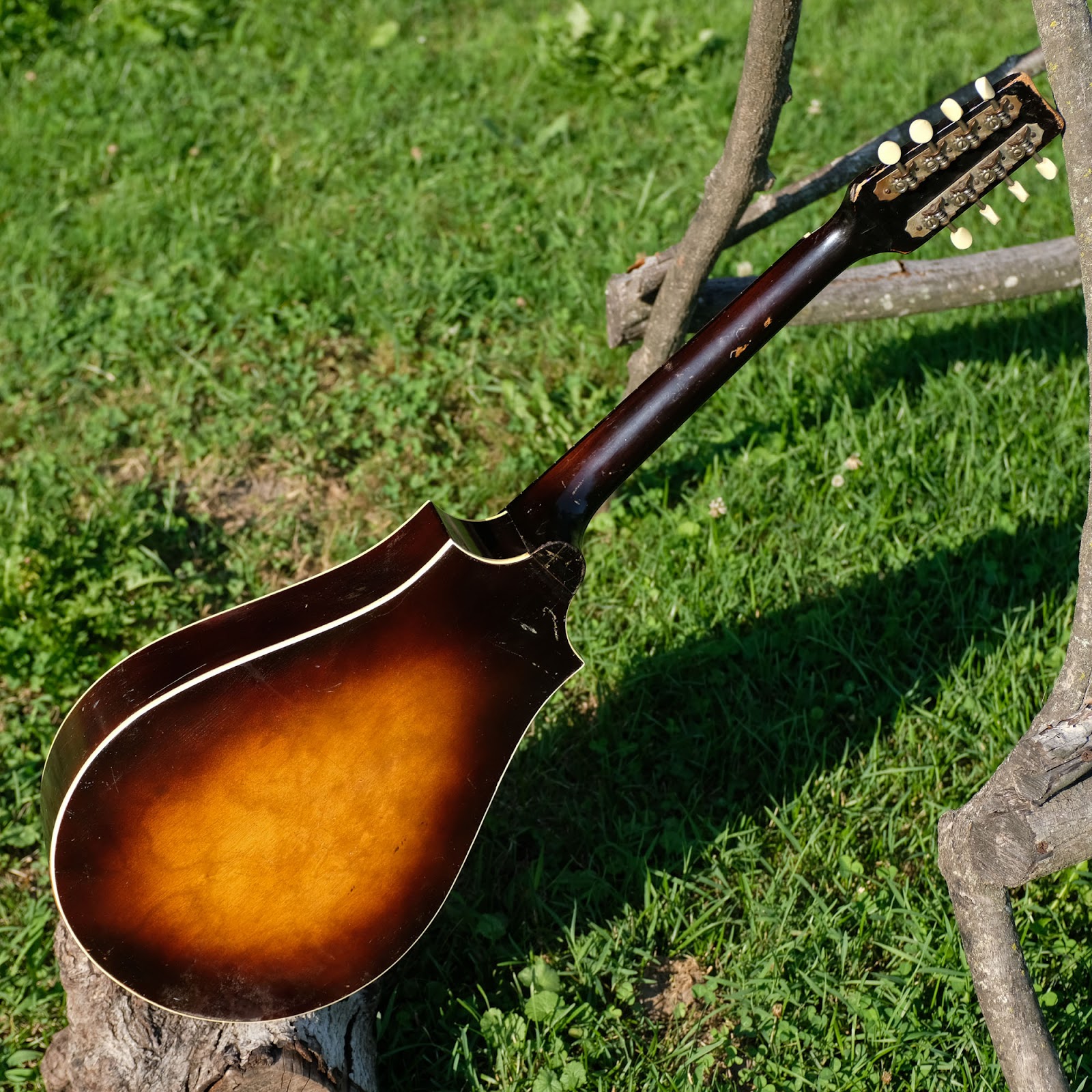 1930s Regal Octofone Octave Mandolin/8 String Tenor Guitar