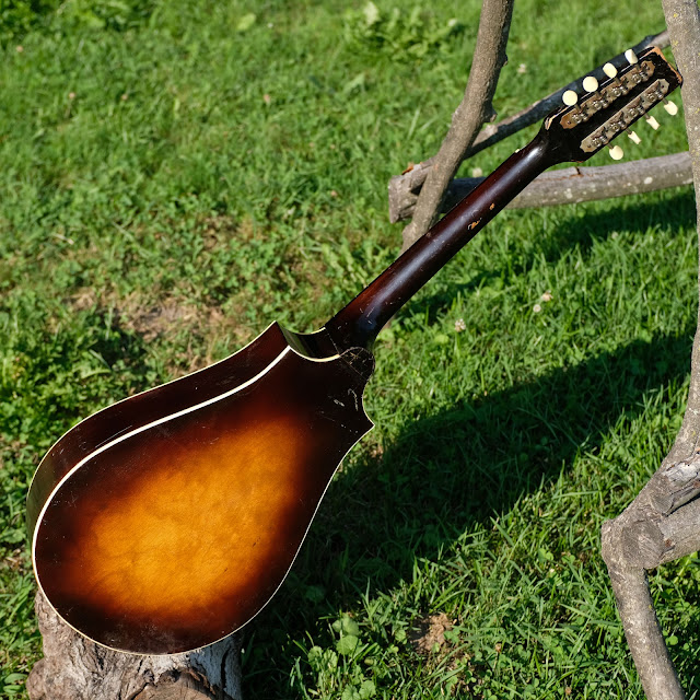 1930s Regal Octofone Octave Mandolin/8 String Tenor Guitar