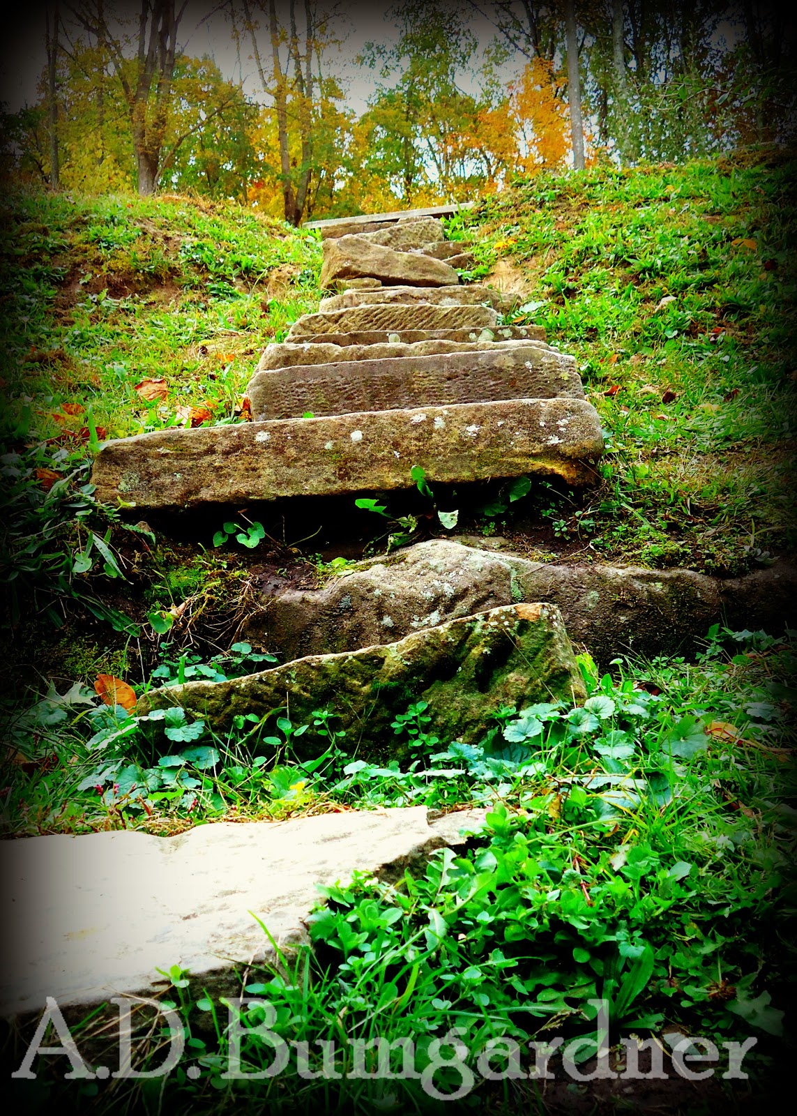 My Life In Photos Mostly Salt Fork State Park Camping Set 3