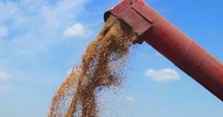 Freight, Chartering, Operations and more: Stowage Factor of bulk cargoes