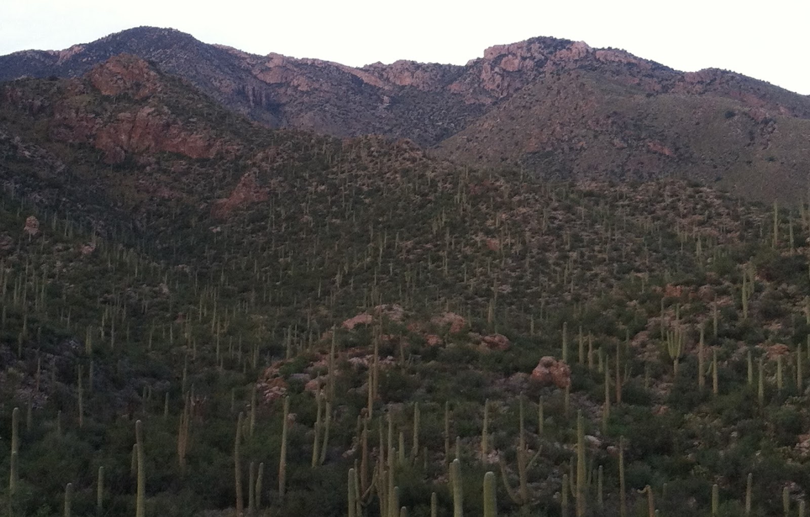Tucson Daily Photo ~: View from the Top of Tucson