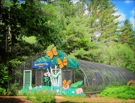 News Butterfly: Butterfly House