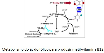 Doença de Crohn: novas perspectivas: Ácido fólico