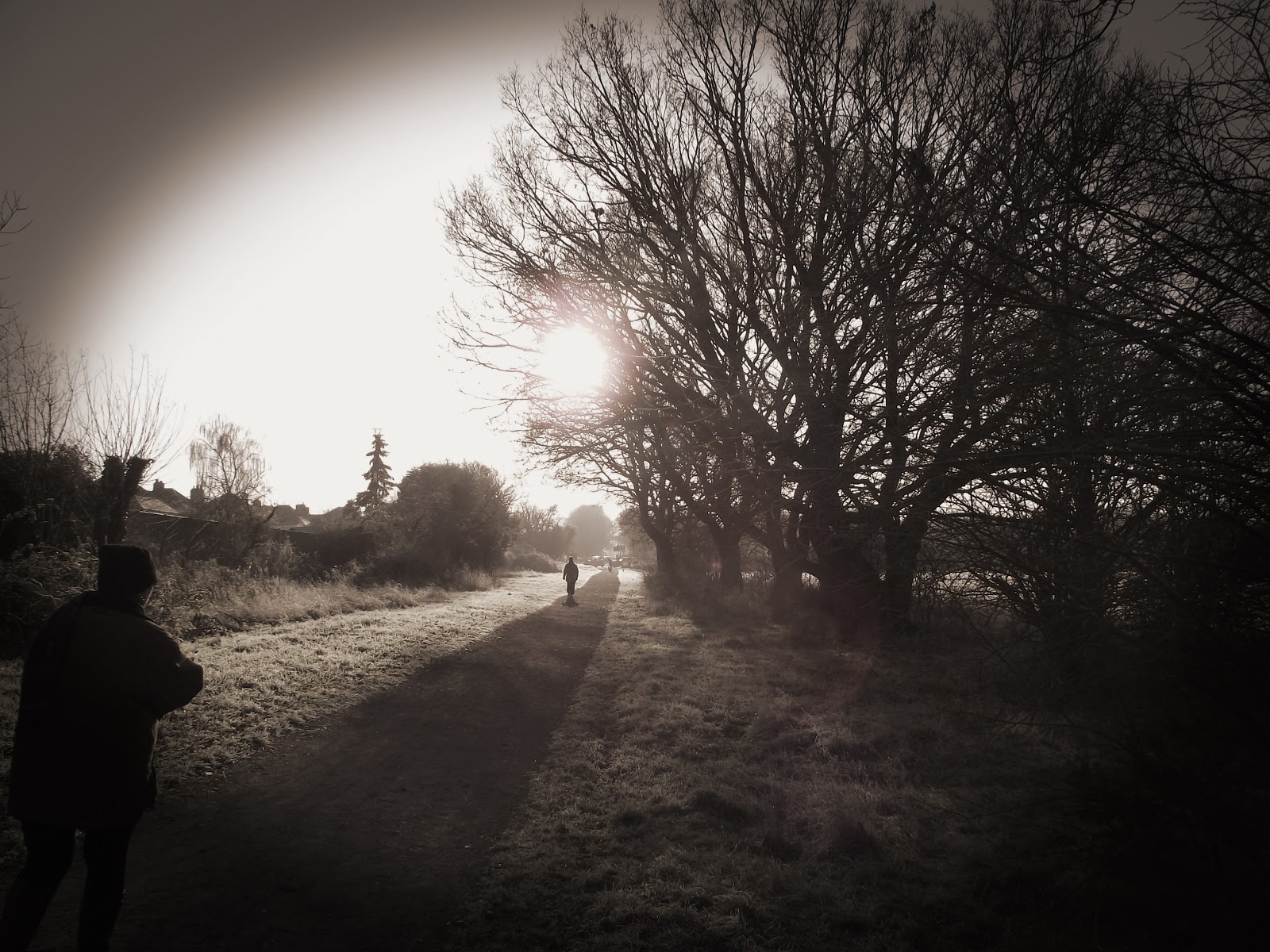 Yvonne Masters Photography Blog: Enhanced Image