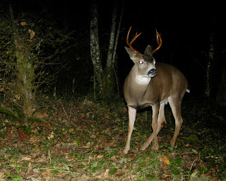 Game Camera Photo Logbook