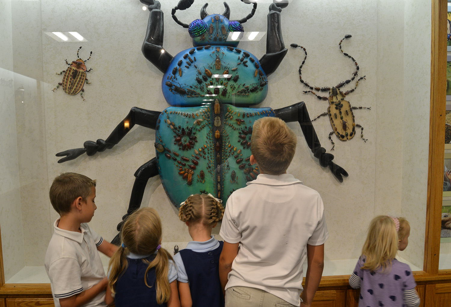 A school of fish: Insect Field Trip to the Monte Bean Museum