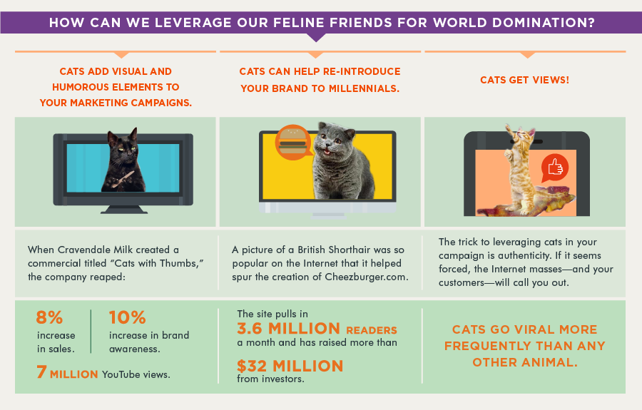 Cats – Who Would Have Thought They Would Become a Marketing Tool?