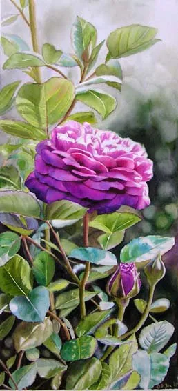 Doris Joa | Watercolor painter | Tutt'Art@ | Pittura * Scultura ...