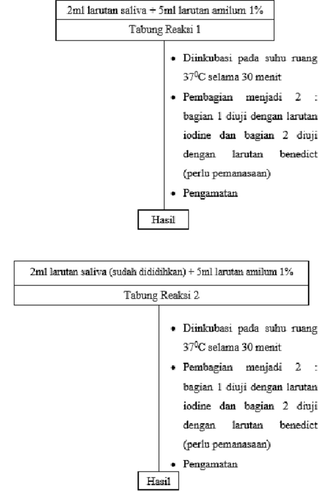 PERCOBAAN II - Enzim ( Praktikum Biokimia ) - Blog Najih