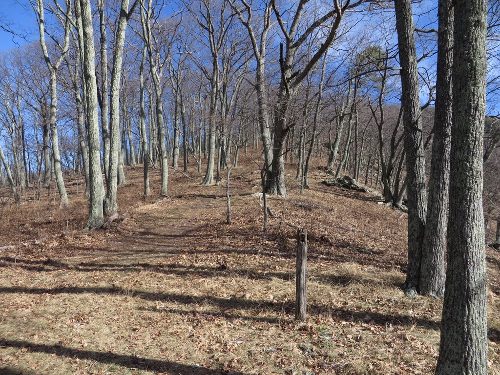 Skookum Traveler: Big Ridge and Cranny Crow (WV)