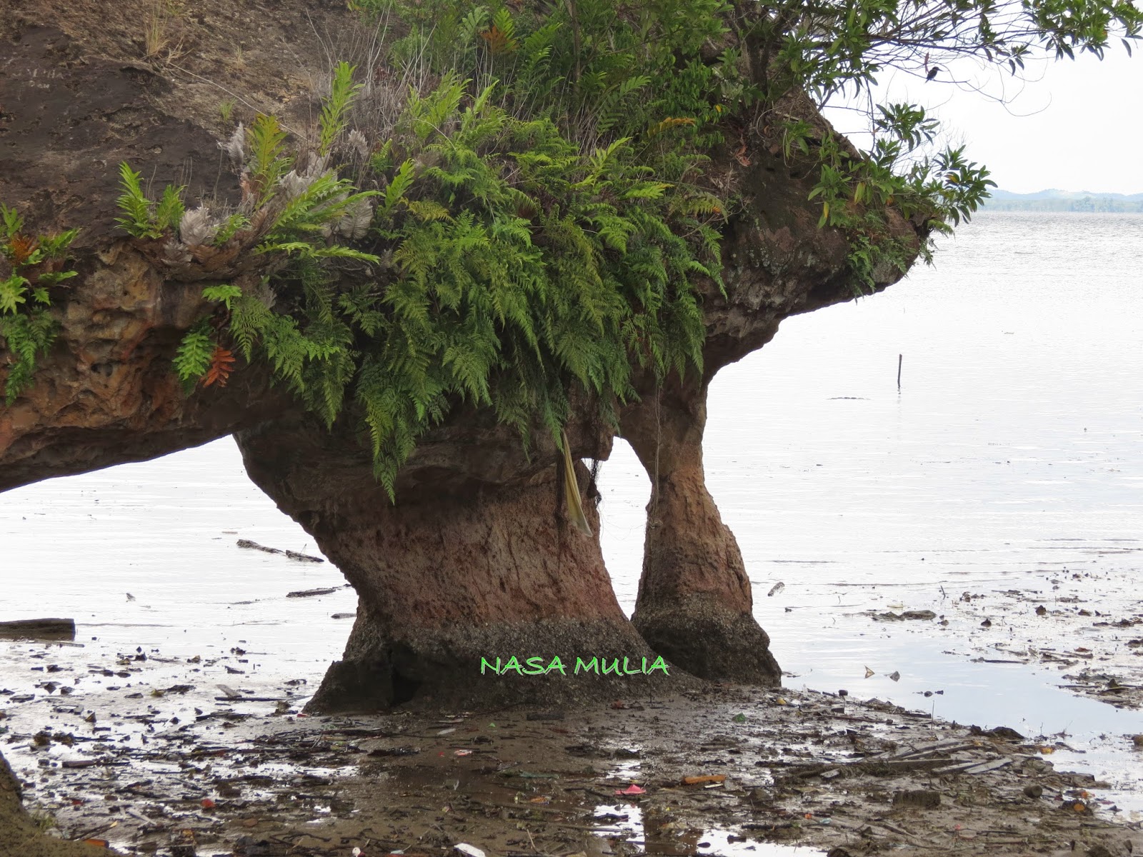 warna warni hidupku..............: Batu Sapi Heritage Park, Sandakan