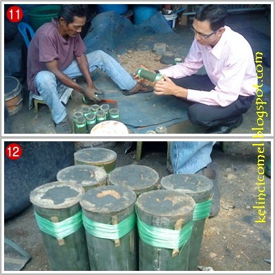 KeLiNcIcOmEl: Bunga Api Buluh