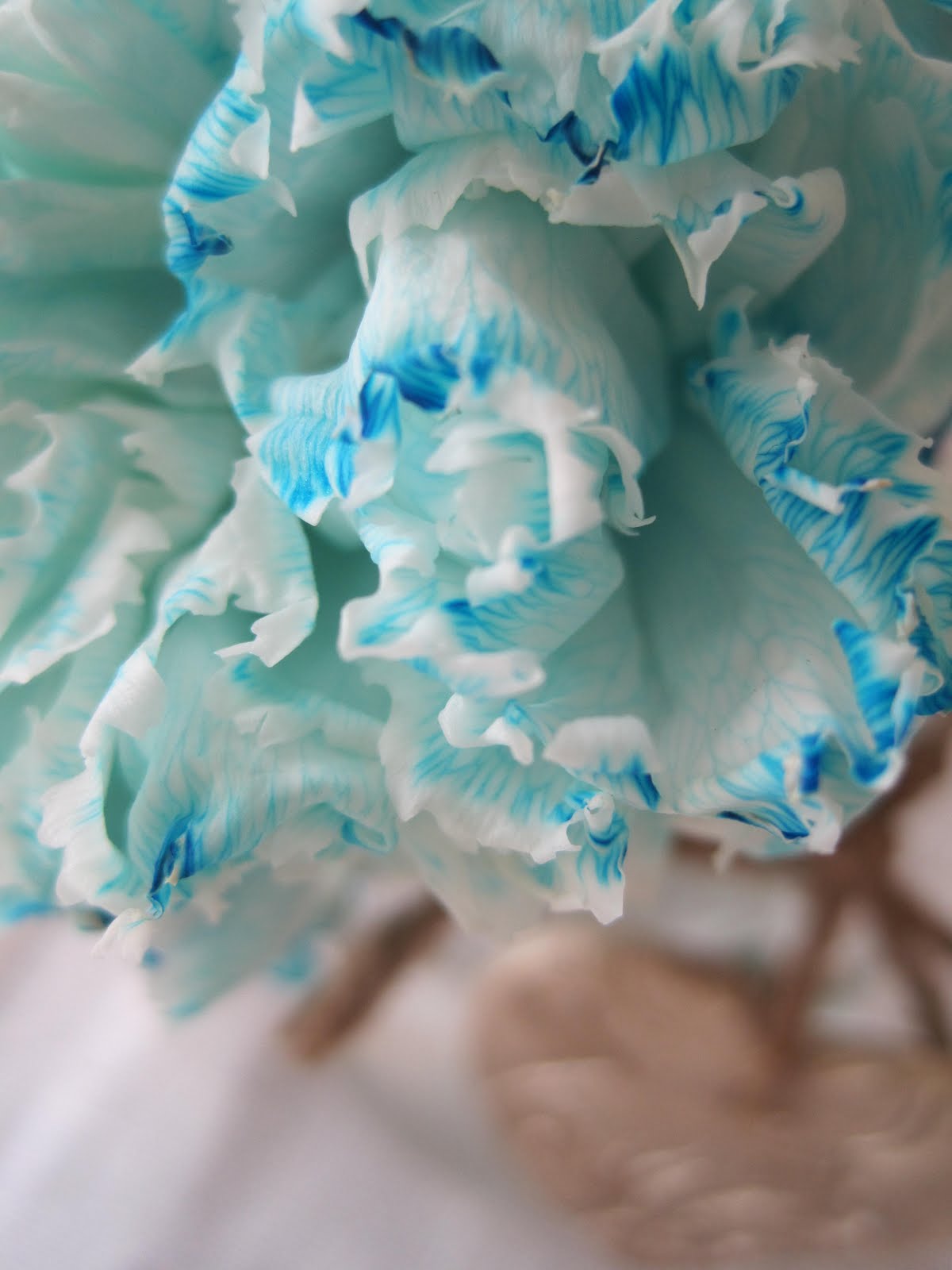 el rincón de salas: CLAVELES TEÑIDOS DE AZUL