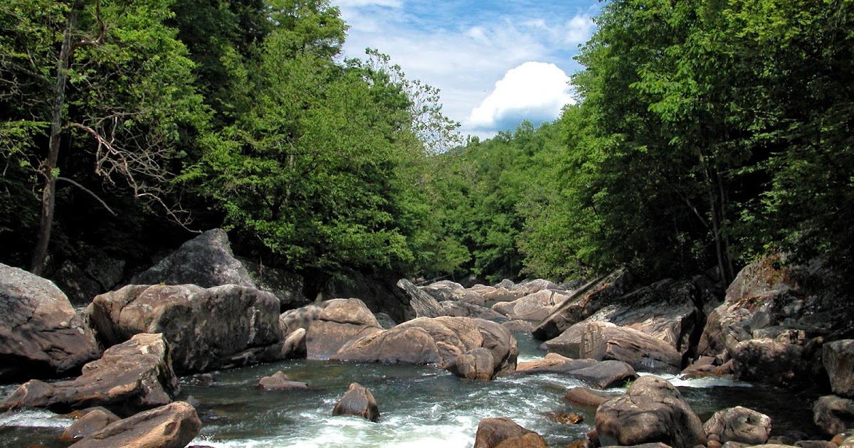 Discover West Virginia: Exploring the Rock Pinnacle at Meadow River