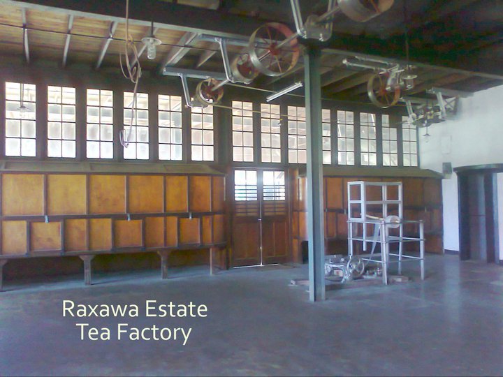 TEA FACTORY