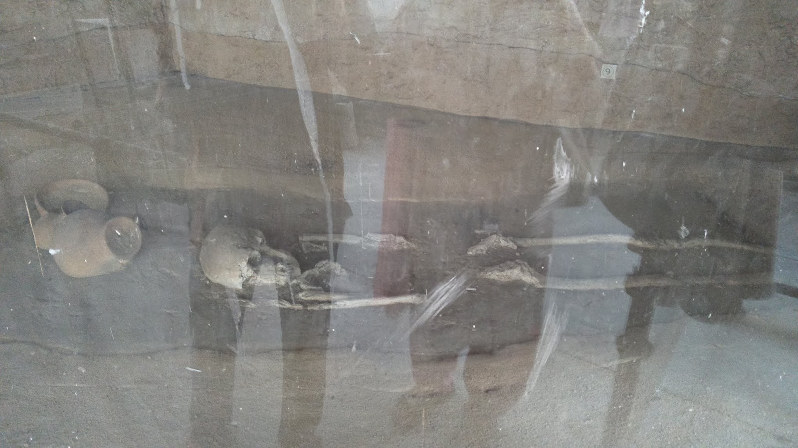 Past People Places : Dara Shukoh's library