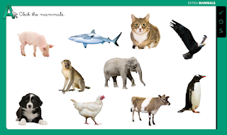 PrimaryBlume 2: Lesson 3 " ANIMALS"