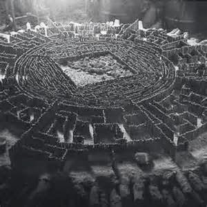 Fandom - The Glade ~Maze Runner~ | RpNation