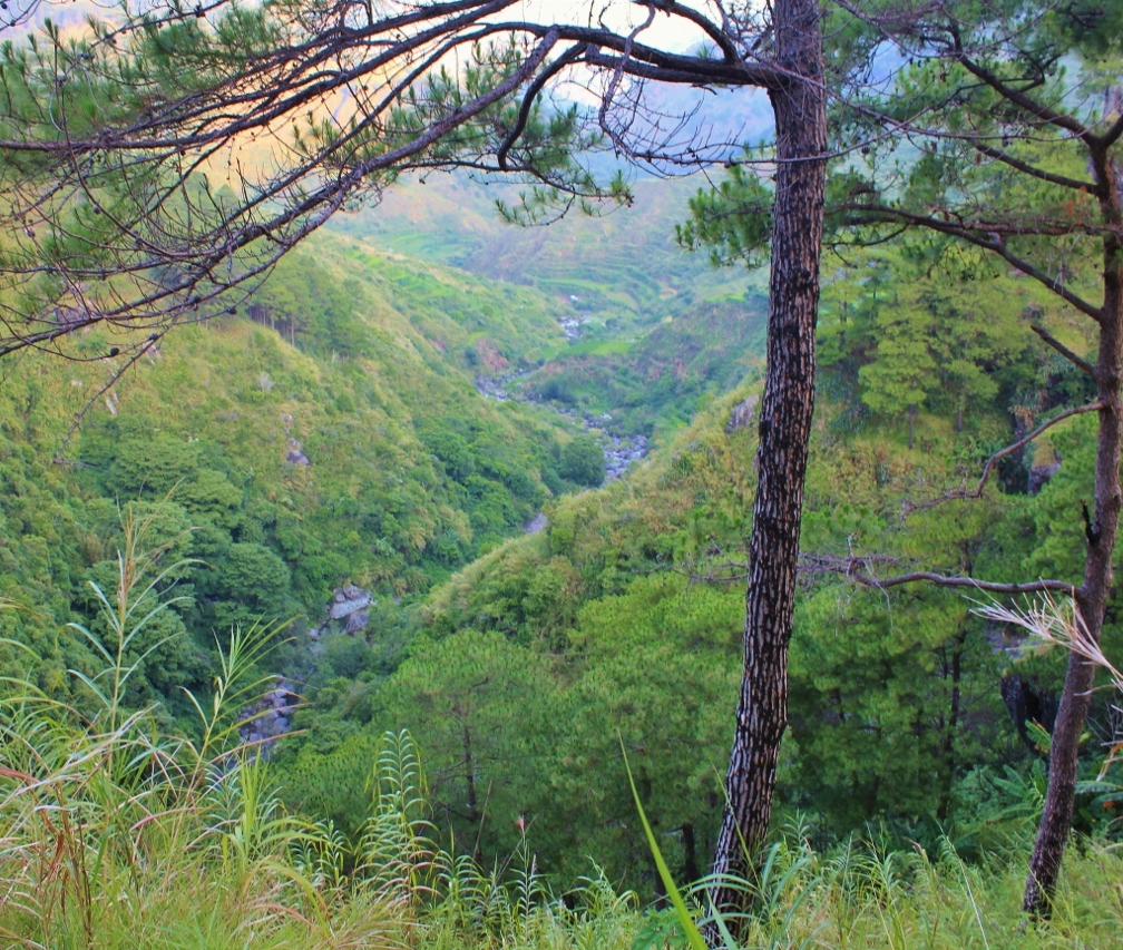 An Igorot Journey: Images of Besao