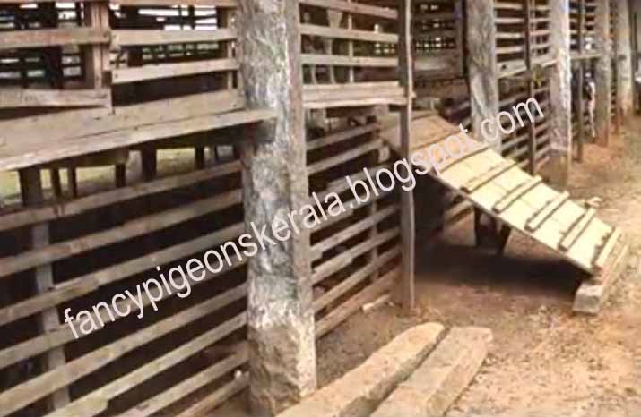 Create And Develop Successful Businesses Through Farm Ideas.: Modern ...