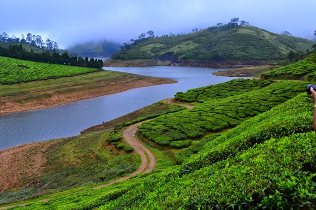 Megamalai Hill Station - It Is Perfect Place For Nature Lovers | TRAVEL ...