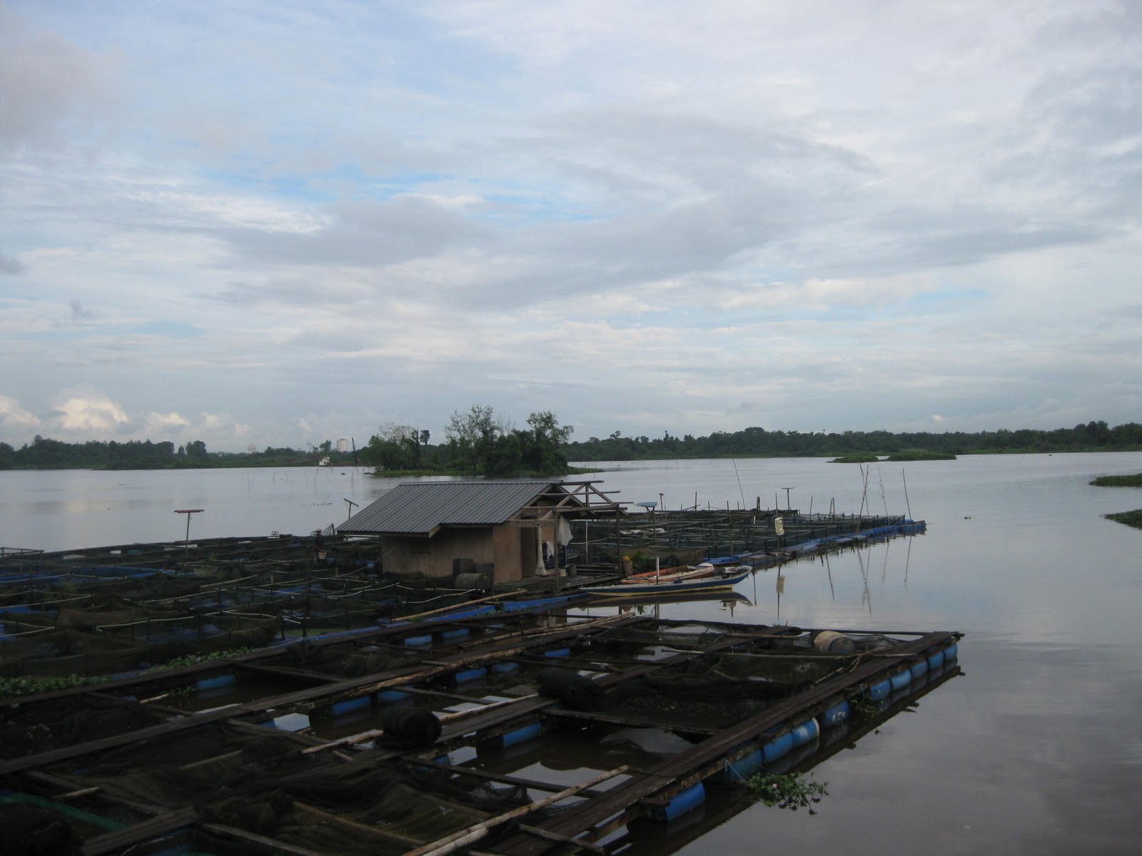 KOBERA DUN N.6 TUPONG: March 2011