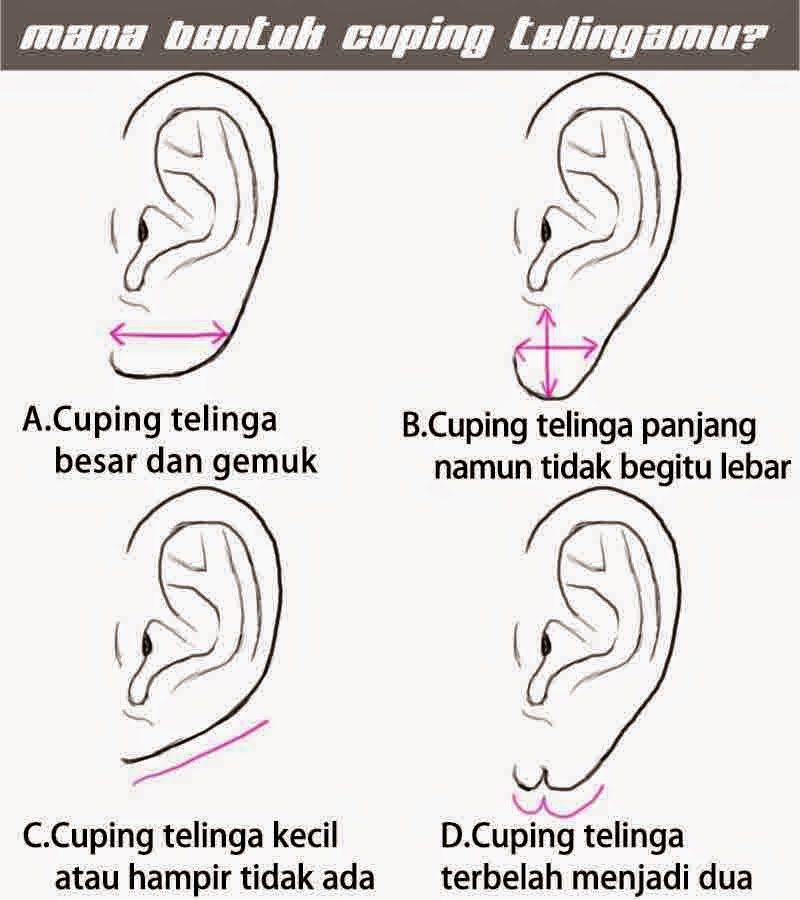 Karakter Percintaan Dari Bentuk Cuping Telinga