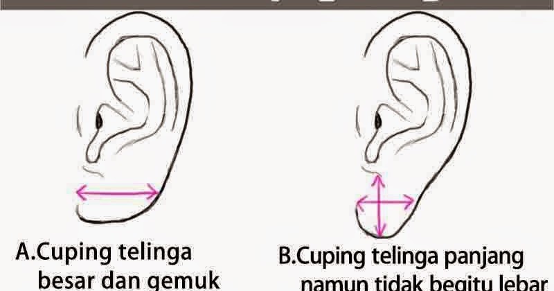 Karakter Percintaan Dari Bentuk Cuping Telinga