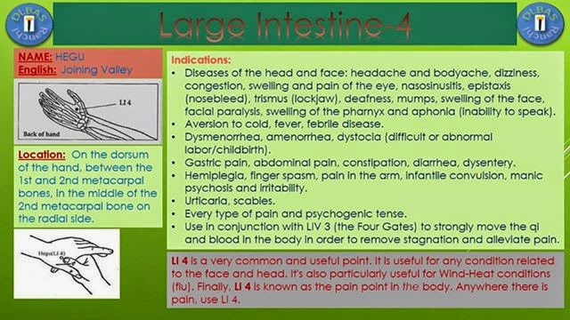 Acupressure & Natural Therapy: LI-4 (LARGE INTESTINE-4)
