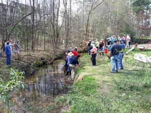 Watauga County Cooperative Extension Center: Backyard Stream Repair ...