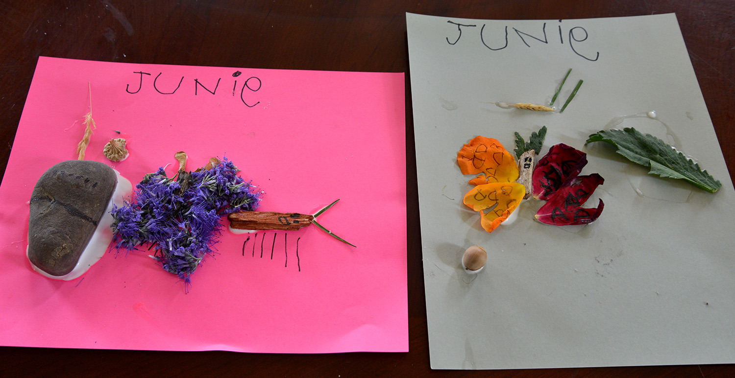 A school of fish: Butterfly Life Cycle Collage