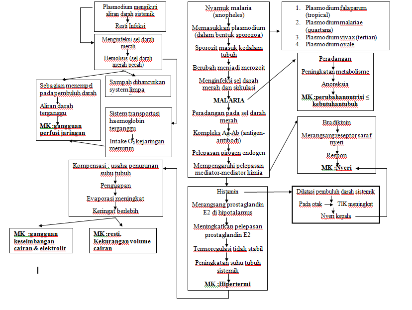 Malaria new | malaria