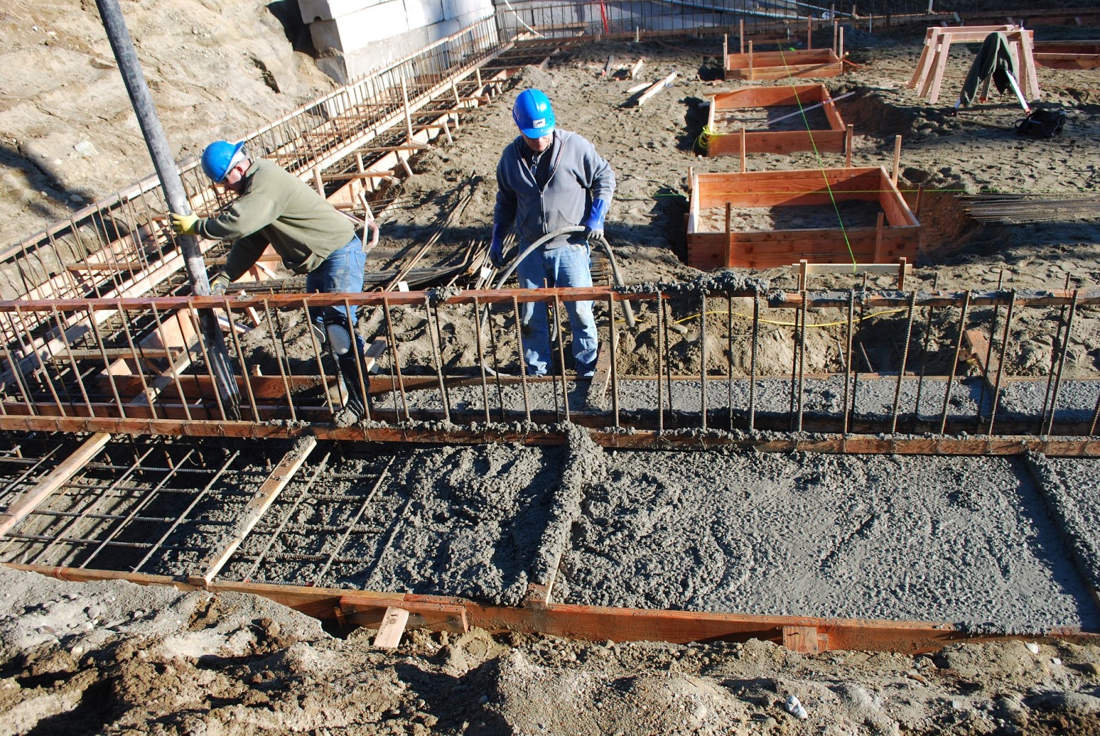 Ladybug's Lair: Laying a Foundation